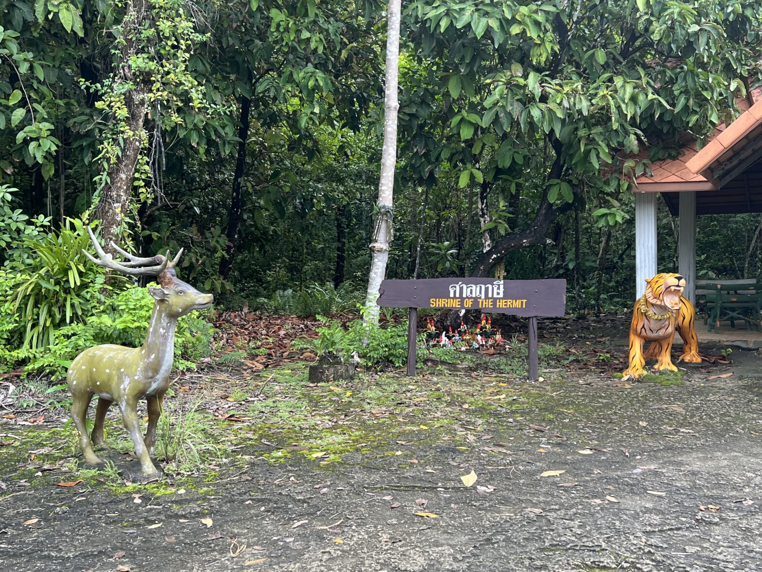 Emerald Pool and Hot Water Spring : Krabi’s Tranquil side… - Safar with ...