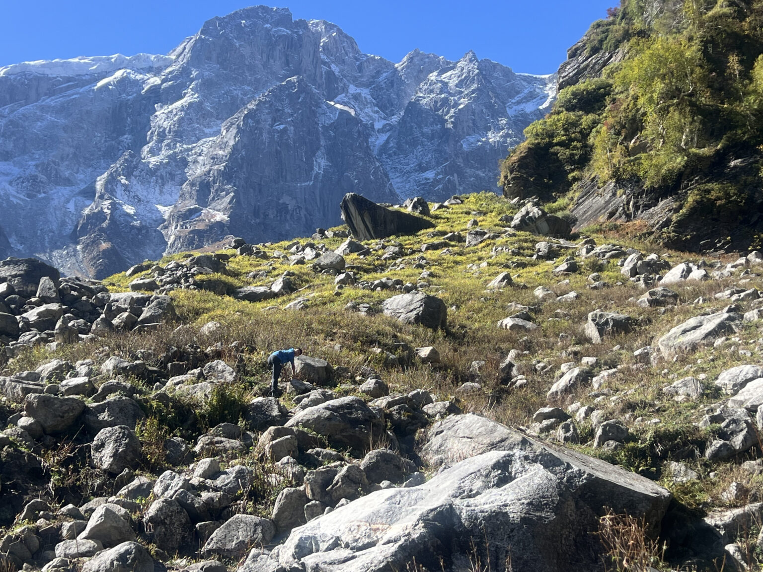 Lohali campsite : In the Lap of Beas Kund - Safar with Sasha